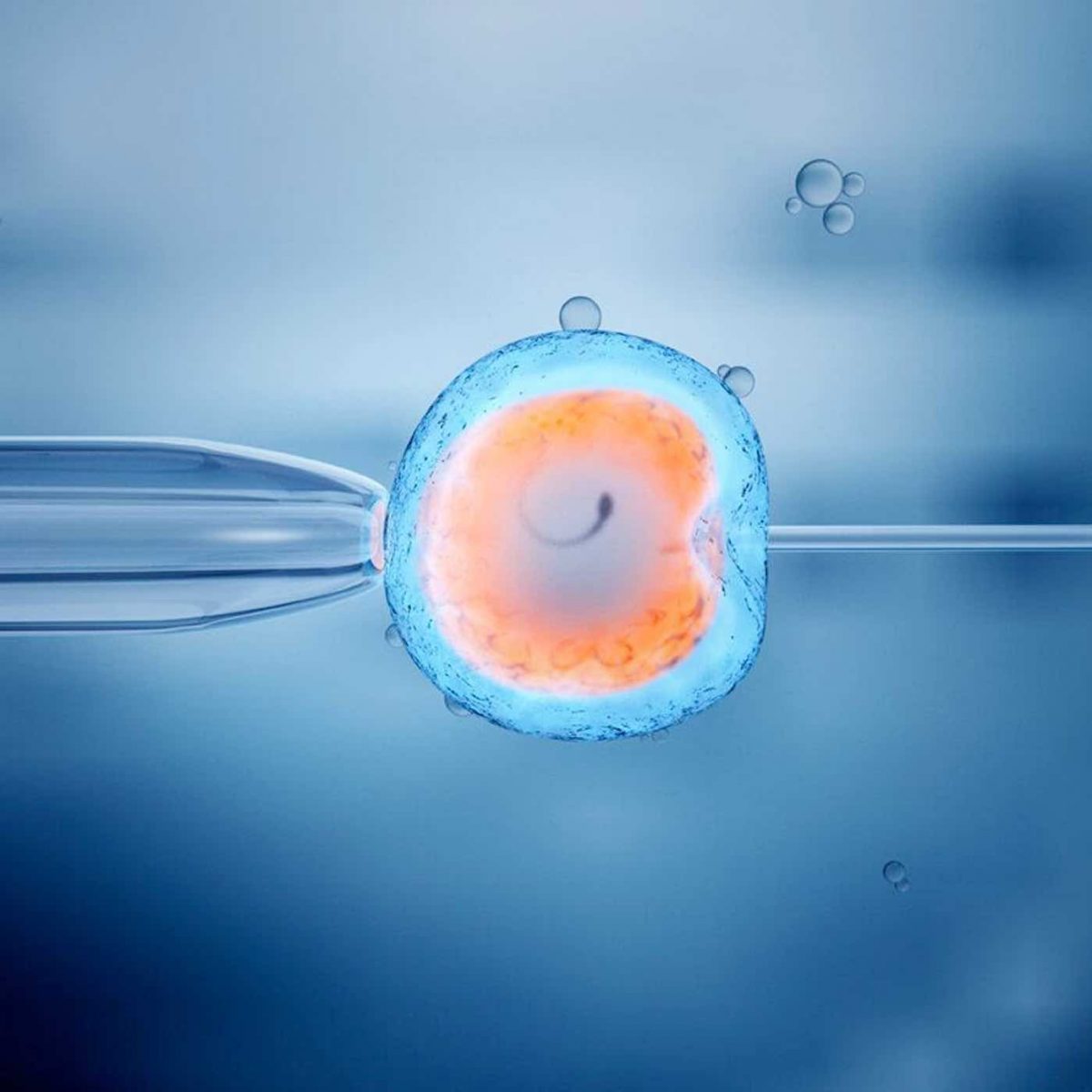 Embriyo Dondurulması - Doç. Dr. Lale Bakır